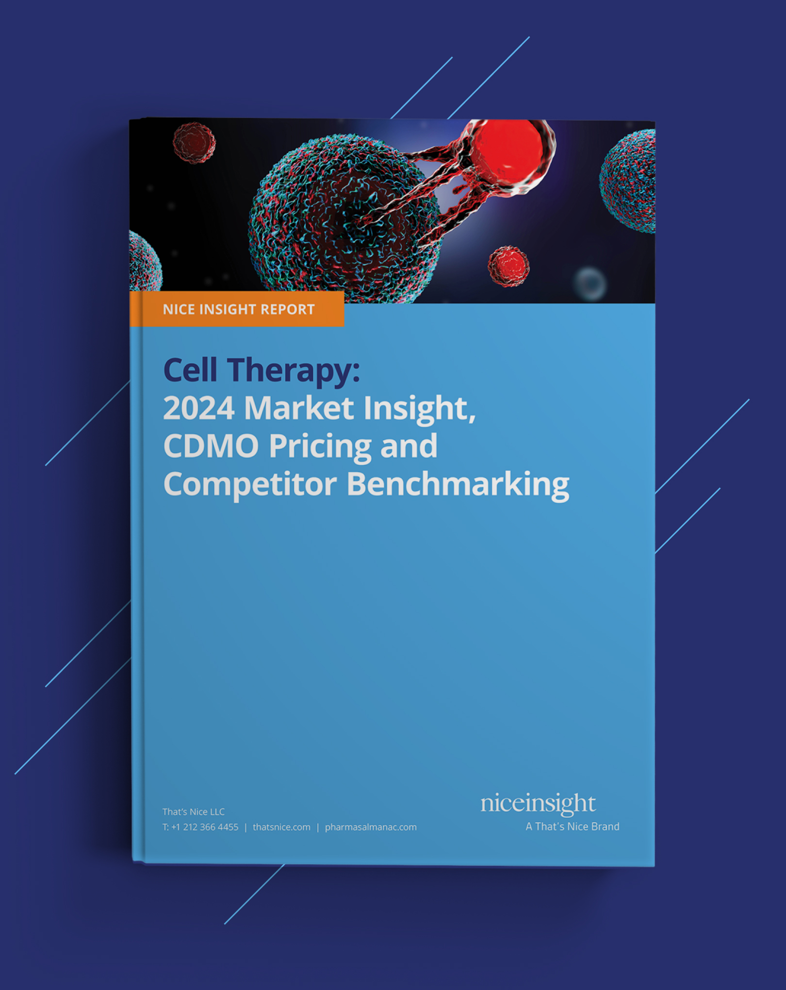 Cell Therapy - That's Nice | A Science Agency